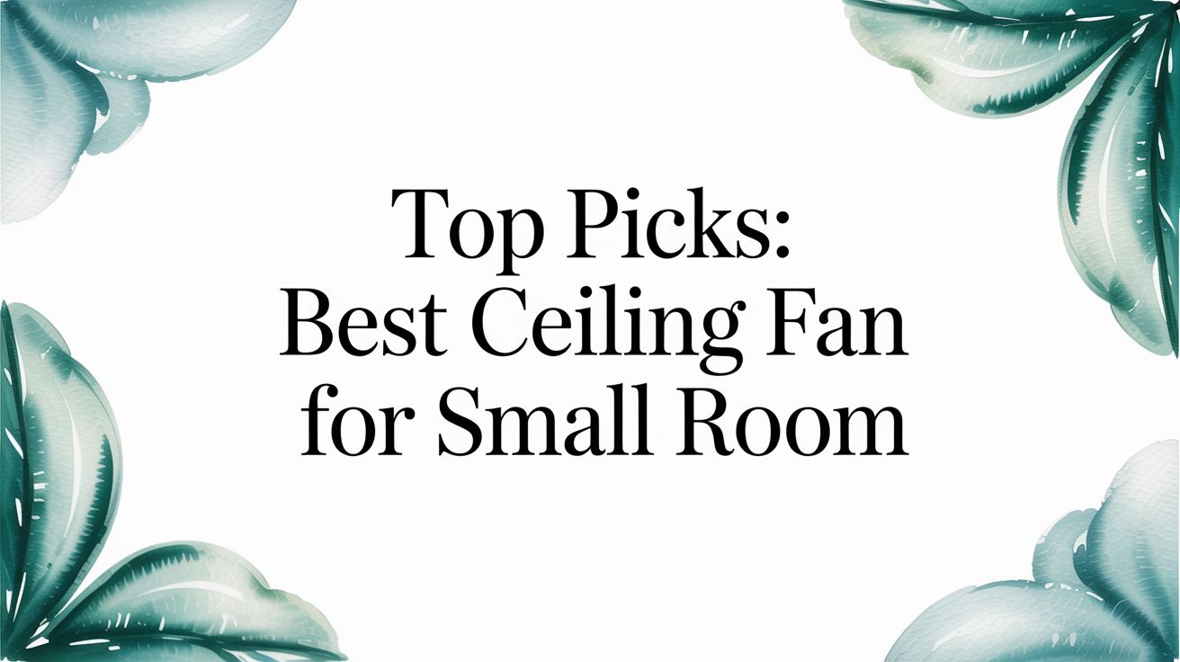 Top picks: best ceiling fan for small room – Fan Connection