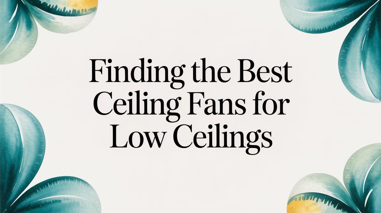 Finding the Best Ceiling Fans for Low Ceilings – Fan Connection