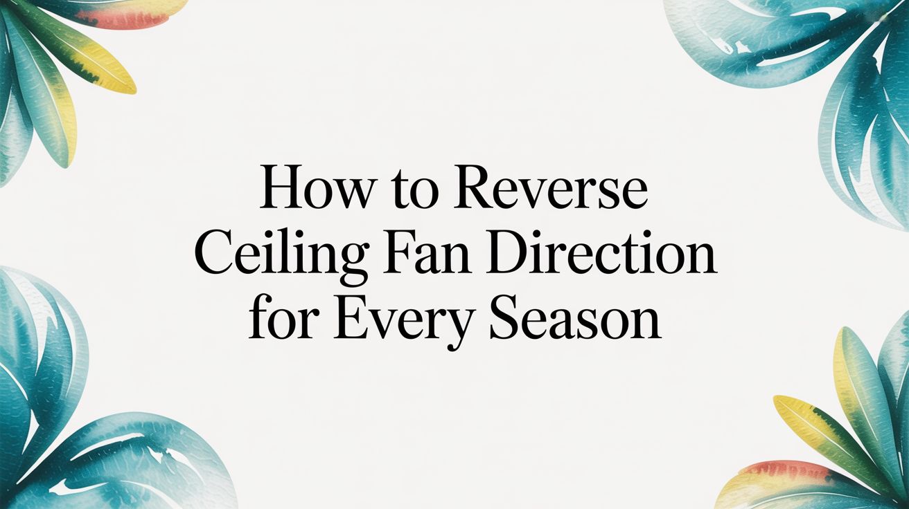 How to Reverse Ceiling Fan Direction for Every Season – Fan Connection